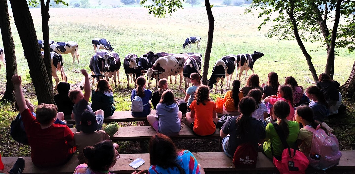 ‘The best summer of my life!’ EPA Camps touch, change many lives ...