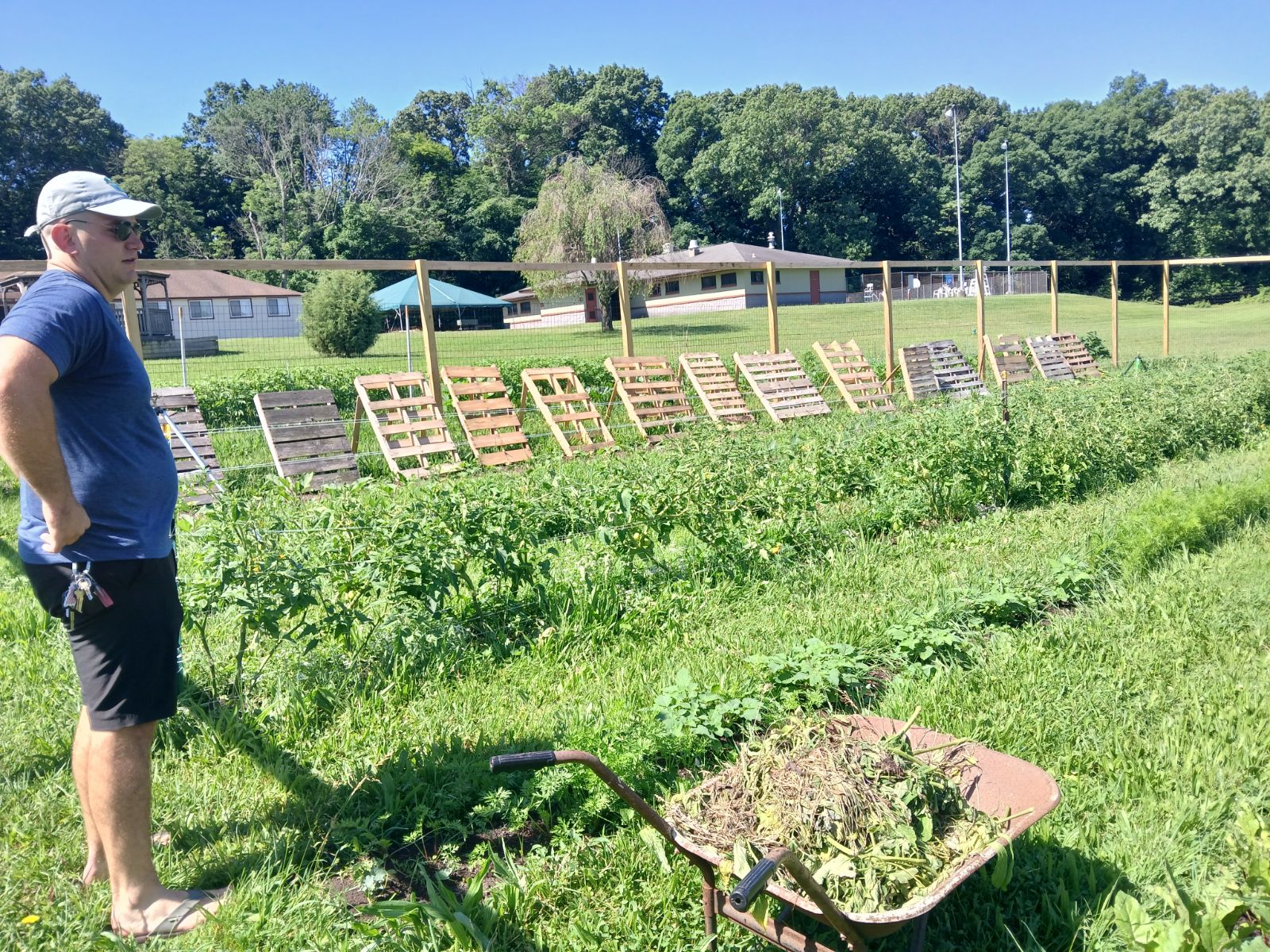 Camp’s suburban farm feeds urban families | Eastern PA Conference of ...